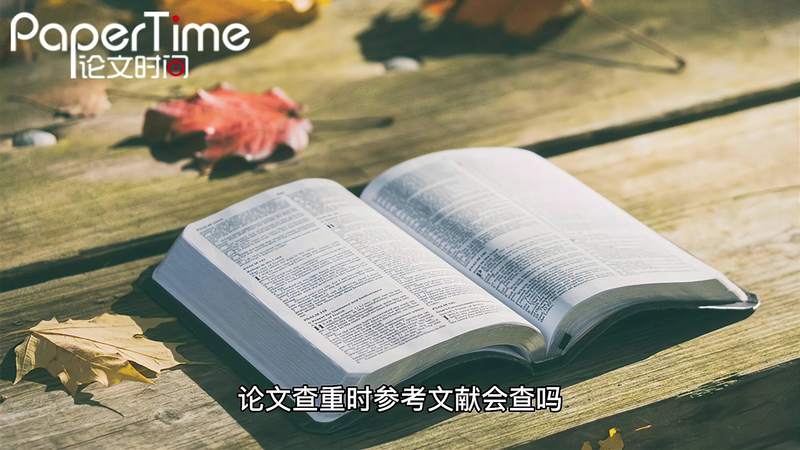 论文查重时参考文献会查吗