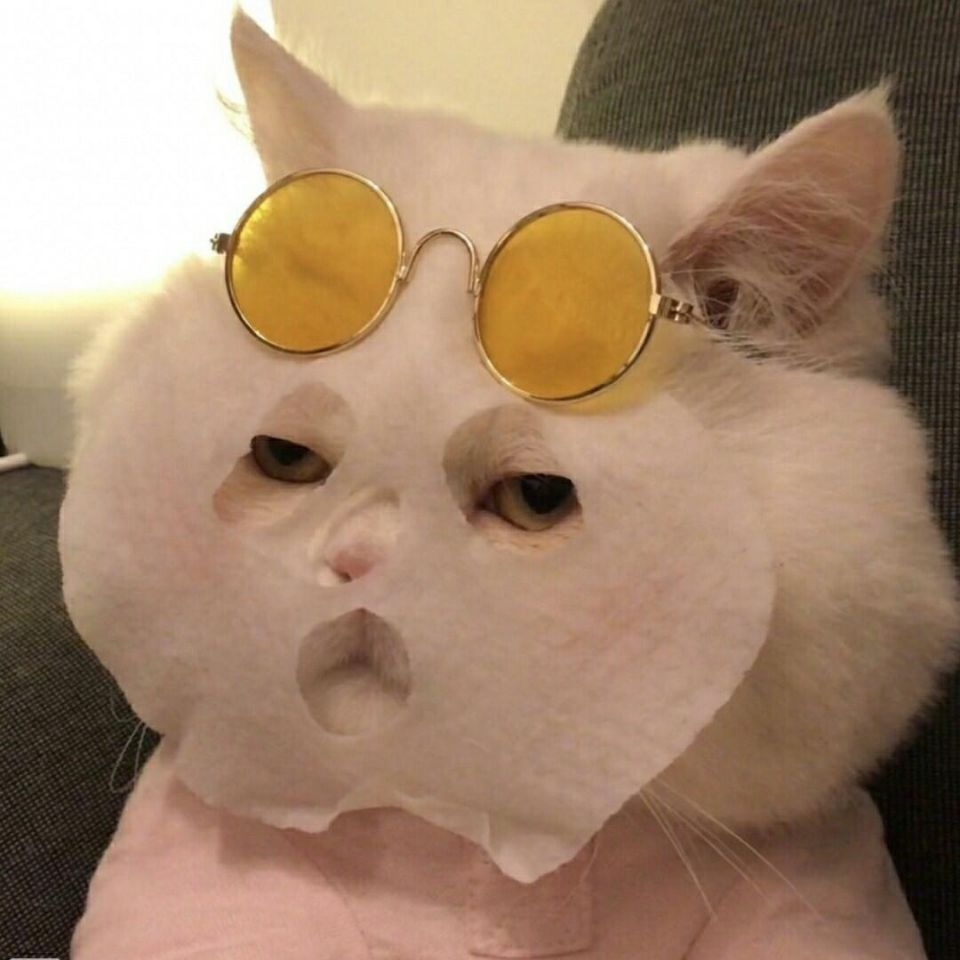 柚子教编程 