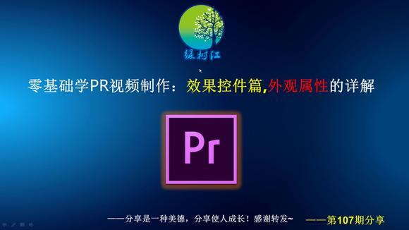 从0基础学PR短视频制作:效果控件篇,外观属性的功能及应用详解