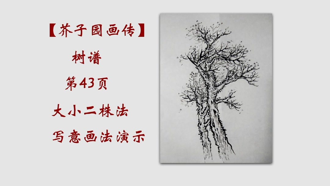 「芥子园画传」第43页《树谱》画树大小二株法水墨写意国画山水画
