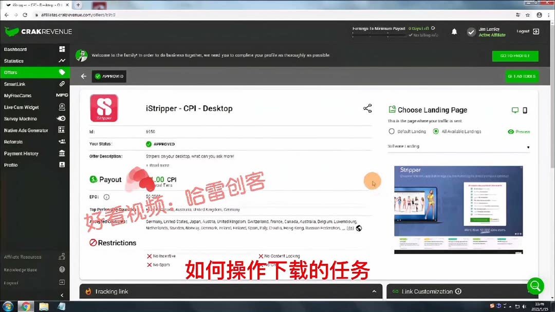 国外美金副业也挺好,如何操作下载类任务?