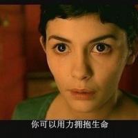 不惑电影解说员 