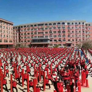 河南嵩山少林武术学校 
