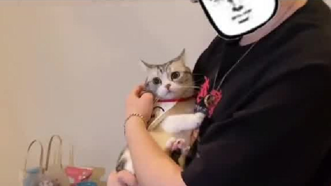 我终于摸到 王泡芙 啦!过程不重要,重要的是我还是摸到了,哈哈哈哈哈哈