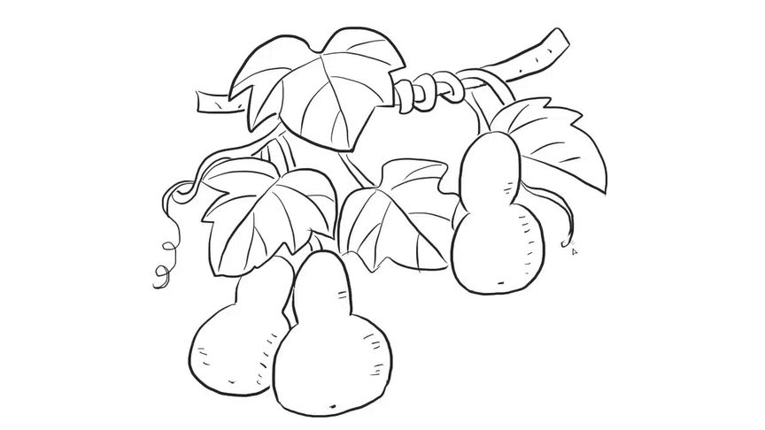 藤蔓上的葫芦幼儿亲子简笔画 宝宝轻松学画画