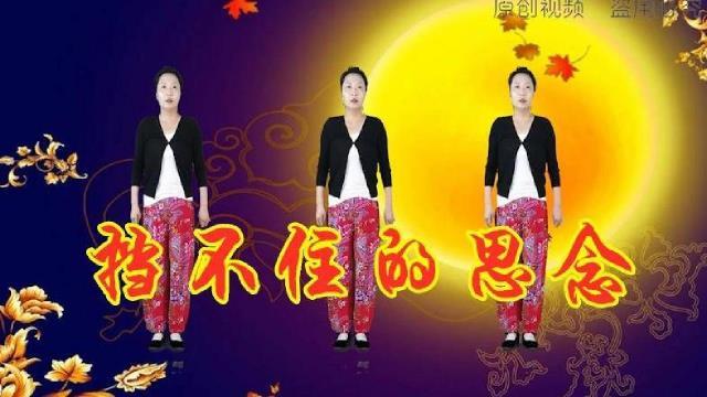 经典DJ广场舞《挡不住的思念》适合零基础朋友健身,简单易学