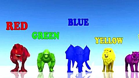 森林运动会亲子游戏之动物乐园动画玩具视频7