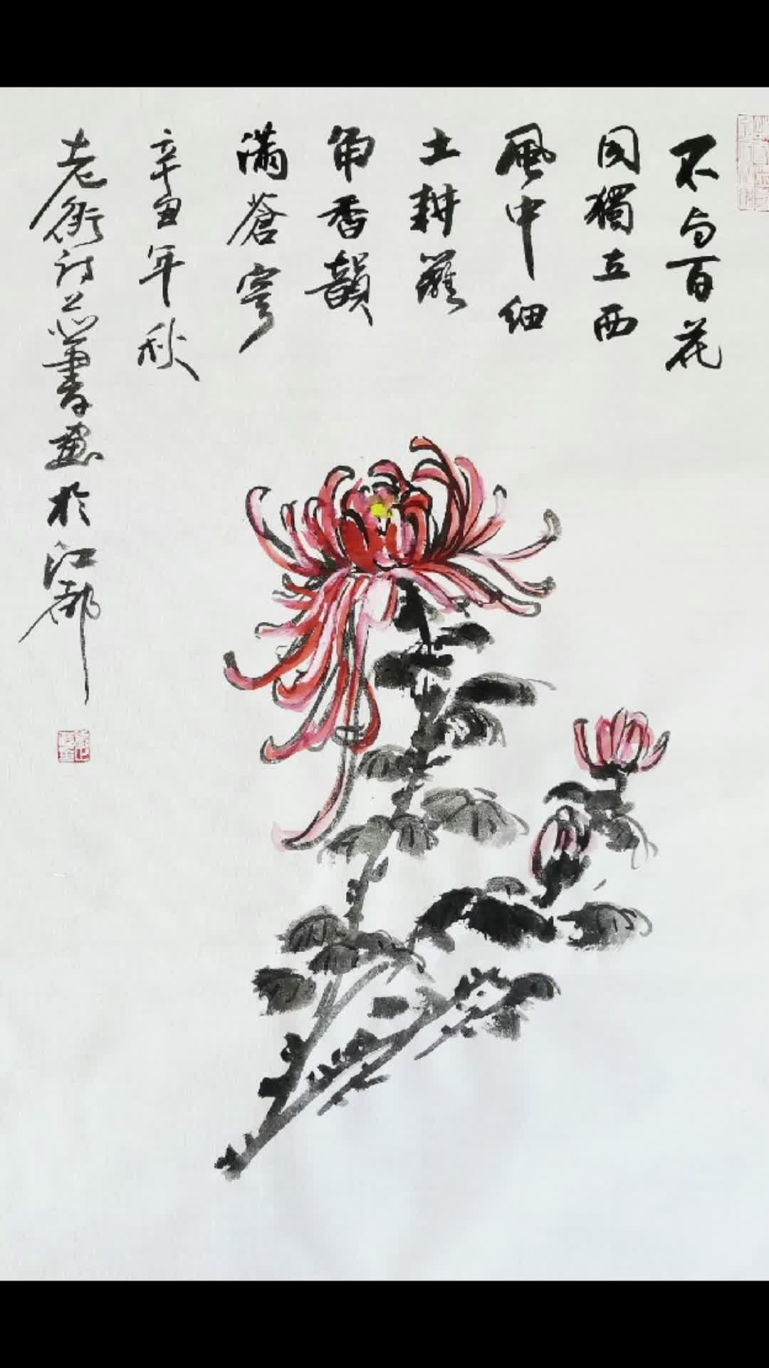 国画菊花,有喜欢的吗?