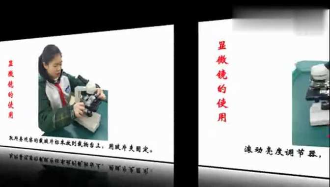 显微镜使用教学