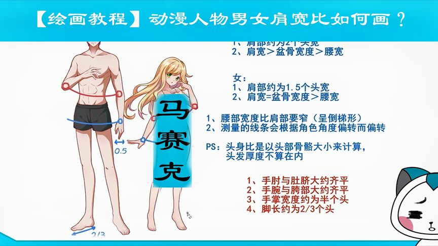 【绘画教程】动漫人物男女肩宽比例绘画技巧讲解