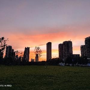 长江北岸一一阿泓 