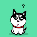 爱看动画的小哈 