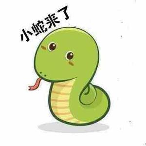 小蛇来了 