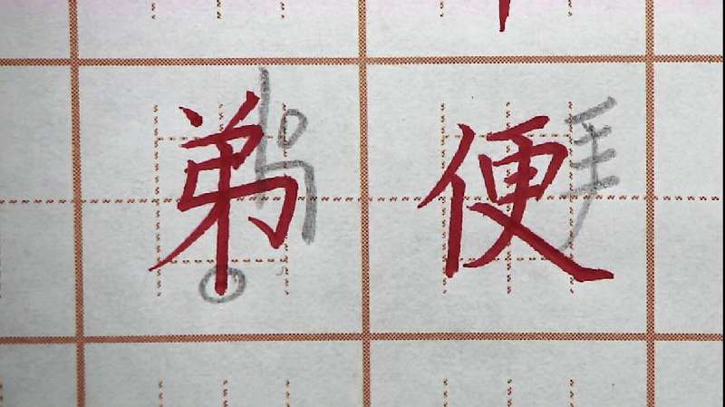 弟字上下长短要分配,便字中间是竖撇,二年级生字硬笔书法写字
