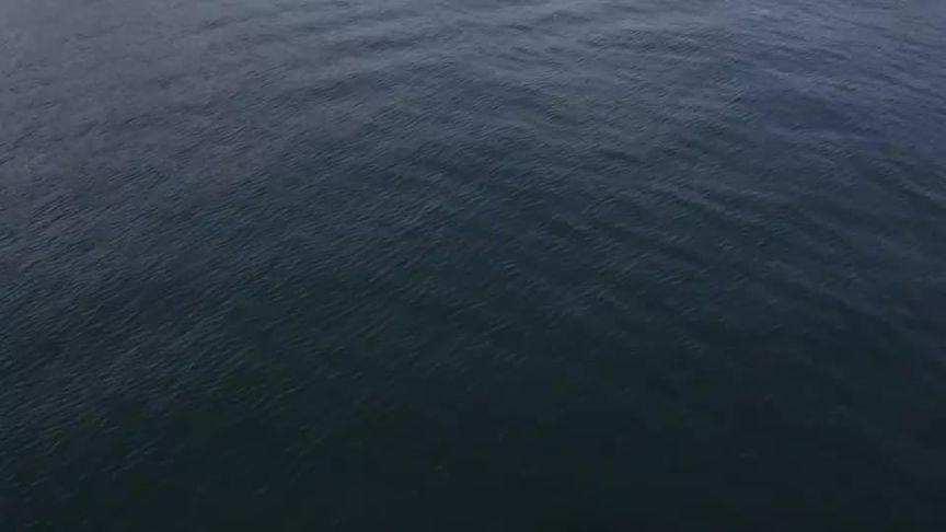 携程:大世界,小相遇,你值得信赖的旅行伴侣