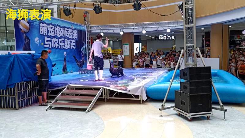 海狮表演很精彩,表演结束却发现了不和谐的一幕