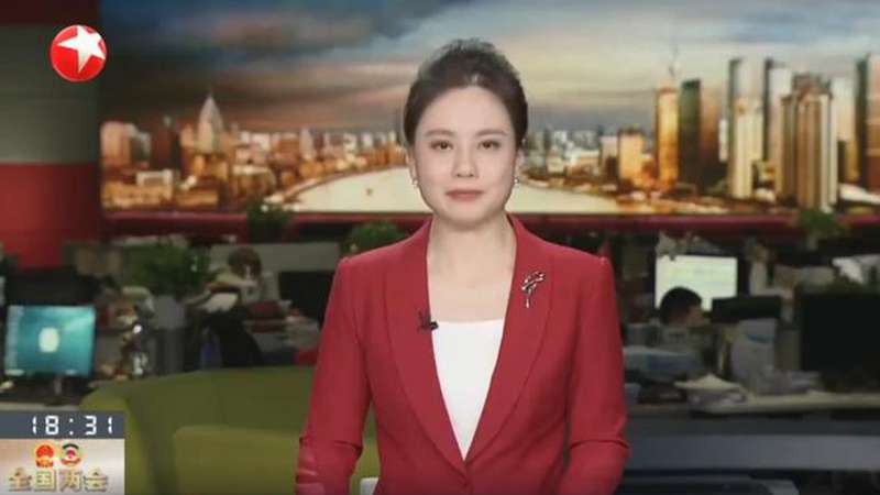 上海代表团举行会议 审议政府工作报告 审查计划、预算报告和草案