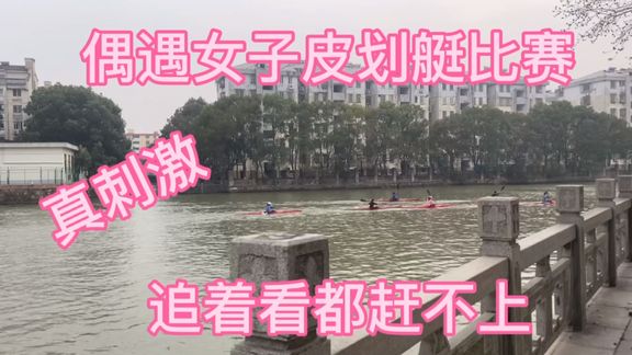 嘉兴环城河偶遇女子皮划艇比赛,这速度刺激