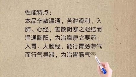 中药材介绍|理气药-薤白