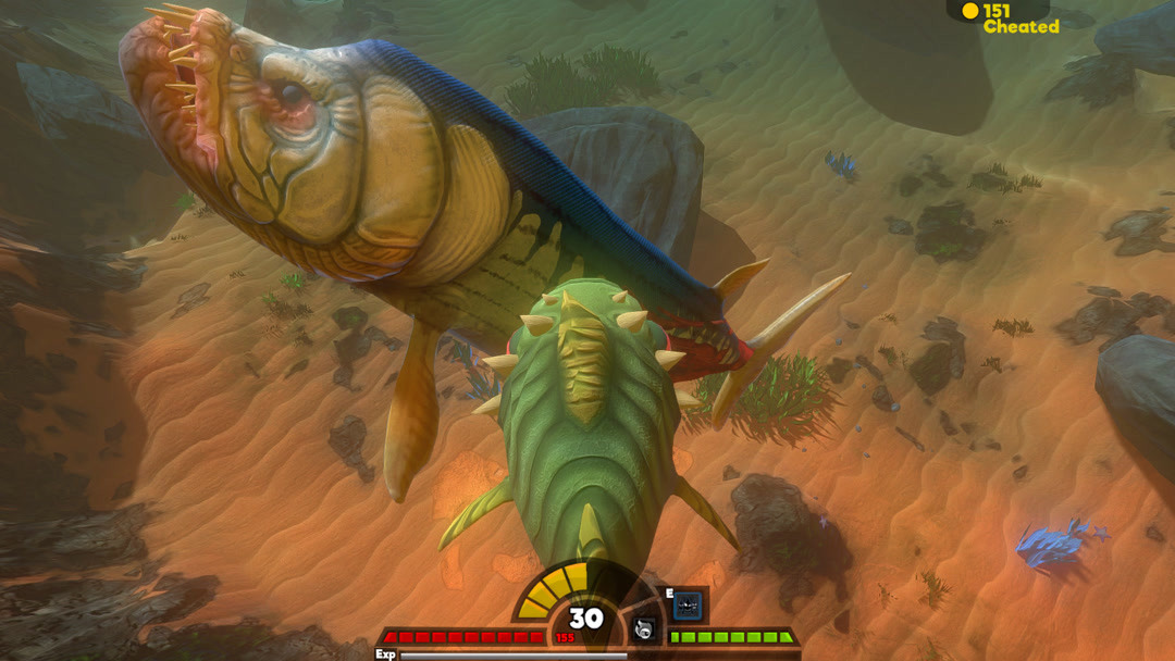 海底大猎杀 食人鲳被一条迷你小鱼耍的团团转