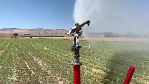 老外发明的灌溉系统,这效率真快,一上午能浇五十亩?