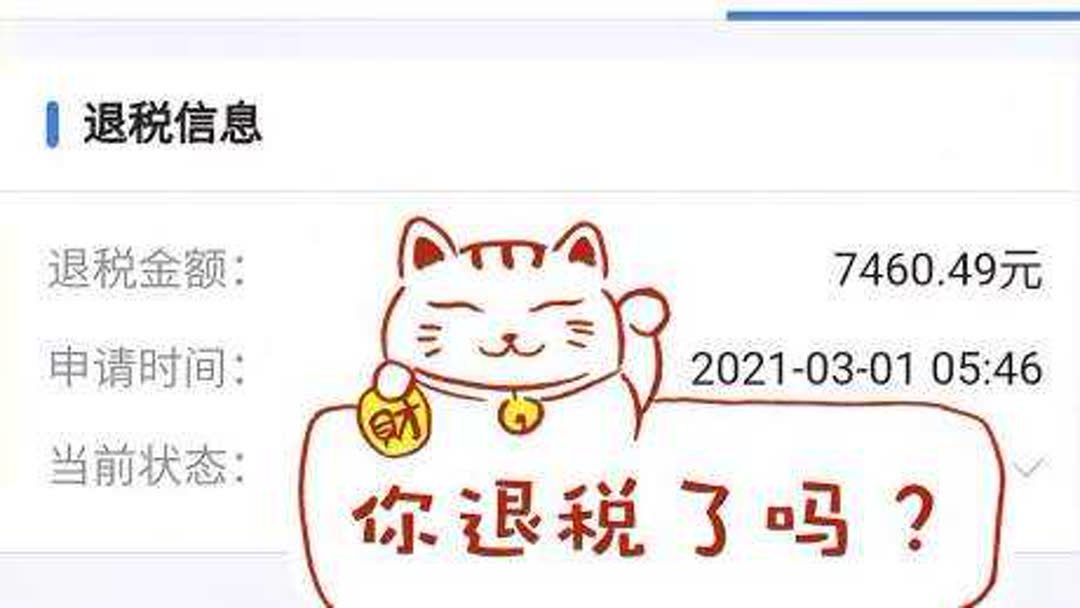 你退税了吗?看看你能退多少?退税开始了