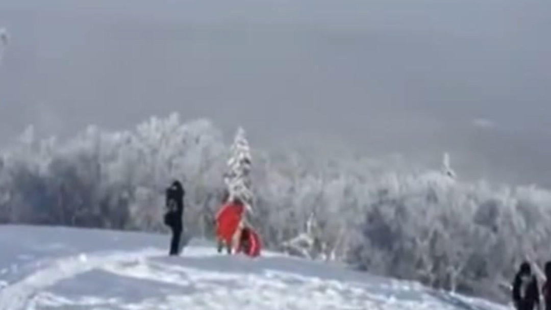 “雪乡磨刀宰羊强售票”涉事旅行社被罚15万 导游被吊销执照