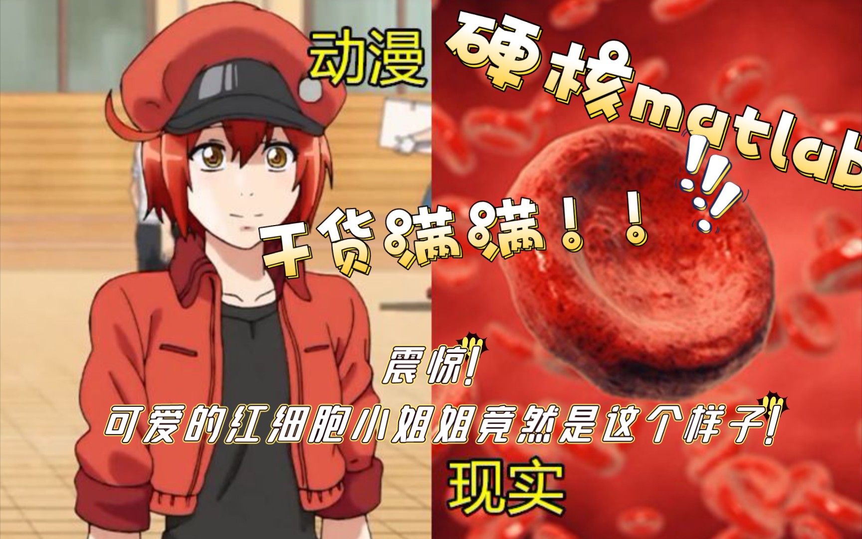 小姐姐?红细胞!学长带你用matlab提取红细胞轮廓～