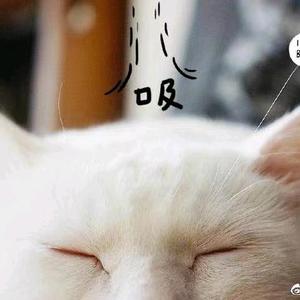 给我咬一口可好 
