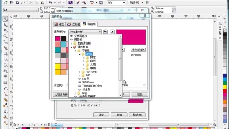 CDR抠图教程cdr视频教程cdr广告设计教程cdr平面设计cdr基础教程
