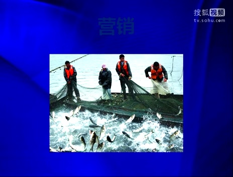 现场管理十大利器