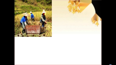 段晓花 微课 有用的稻草