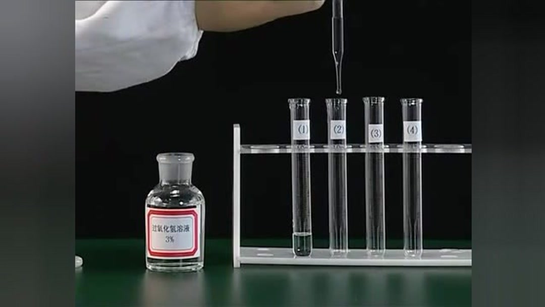 新课程高中生物演示实验(一)05比较过氧化氢在不同条件下的分解