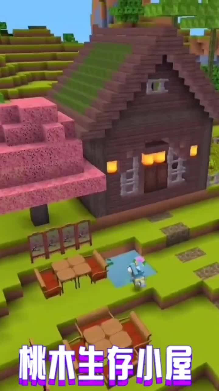 速建桃木生存小屋迷你世界