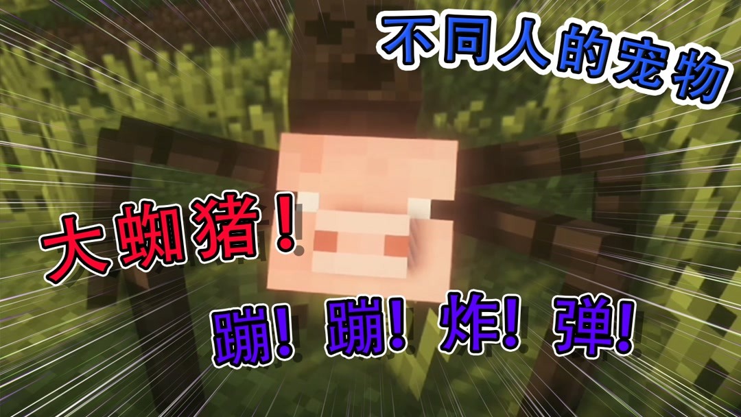 我的世界:怕怕新宠物,众人见到瞬间诧异