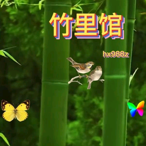 竹里馆hx988z 