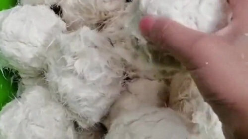 咱也跟一把网络风,拆了六个羽绒服做了一床羽绒被,你们说值还是不值