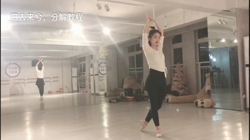 民族舞归去来兮 分解动作 自学版本