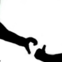 普通的人类物种 