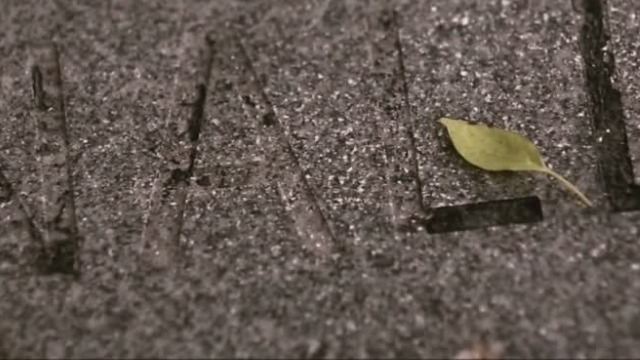 端纳档案·一个洋人在近代中国的冒险(五)