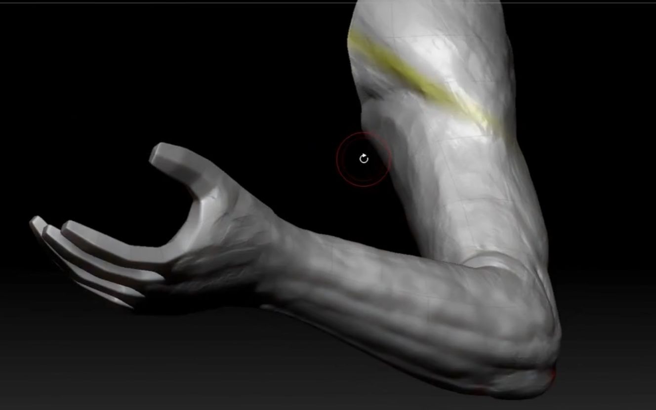 maya免费高级角色教程09(艺术人体解刨讲解06)