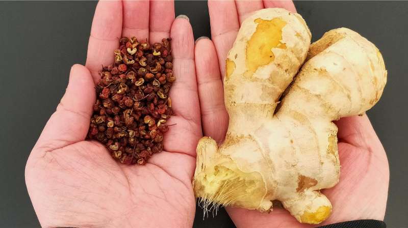 花椒和生姜一起泡水,作用花钱买不到,解决了很多人的困扰