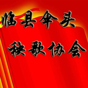 山西临县伞头秧歌协会 