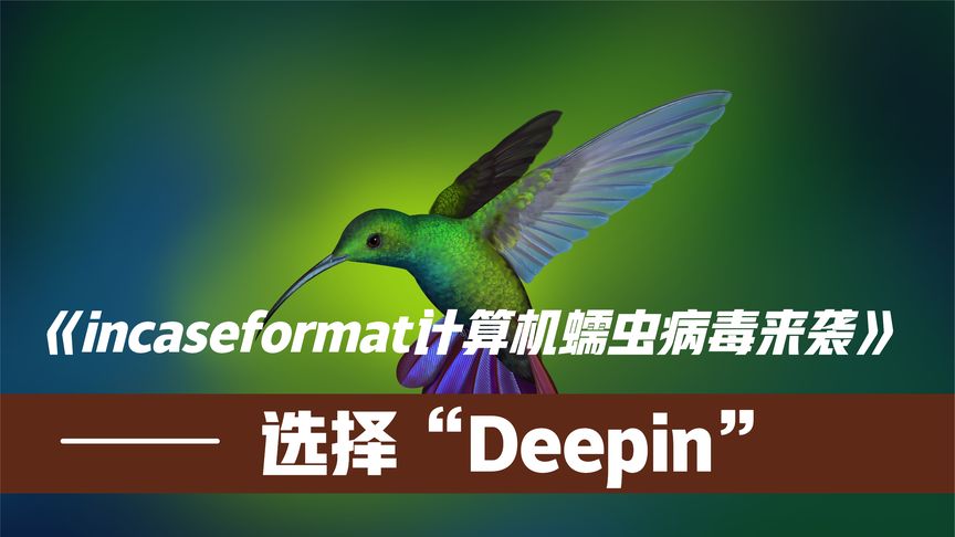 我的祖国0010《incaseformat计算机蠕虫病毒来袭》选择“Deepin”