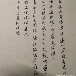 燃油添加剂砖家 