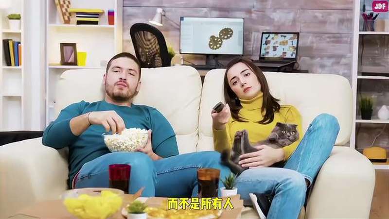 如何成为猫咪最爱的人,猫咪爱你的表现
