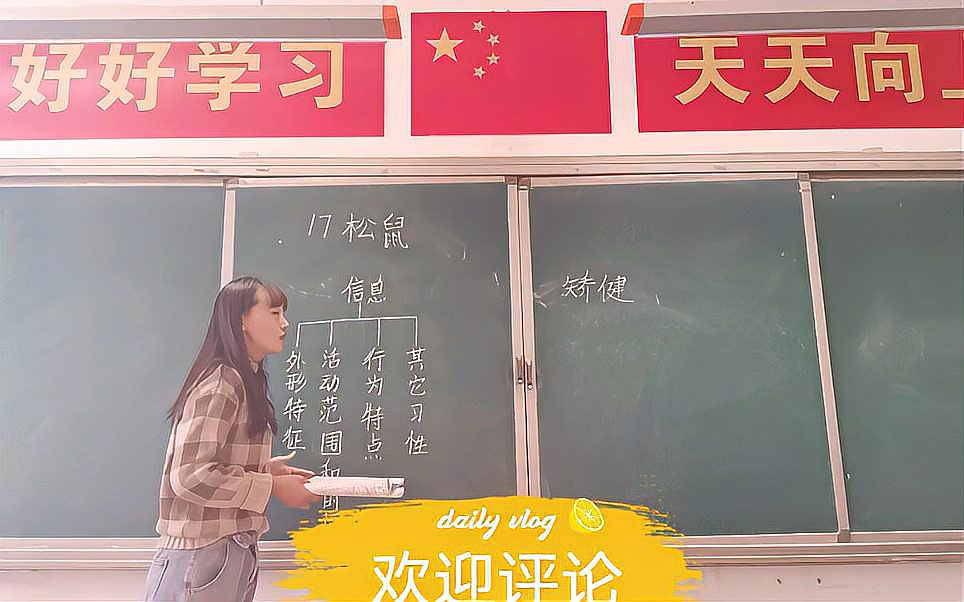 小学语文试讲 五年级上册《松鼠》