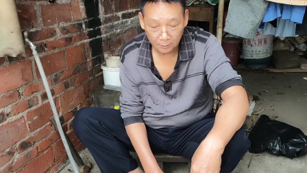 十一月份又摘了些野生无花果,这次带果毛一起泡酒
