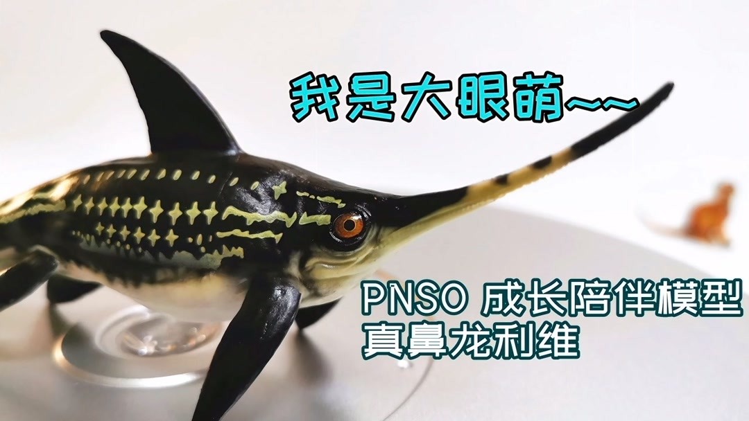 【初丁分享136】大眼萌~~PNSO恐龙大王成长陪伴模型真鼻龙利维
