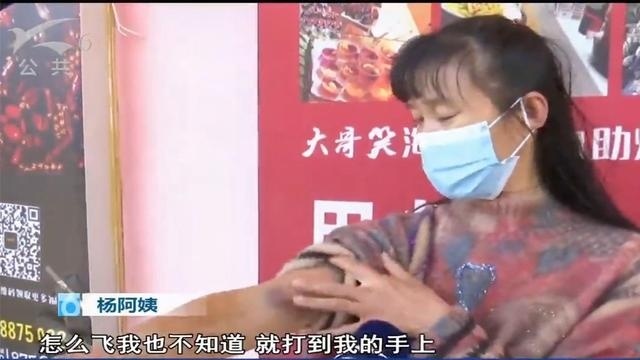 电磁炉爆炸 顾客被炸伤手臂后索赔遭拒 商家:负责治伤其他不管